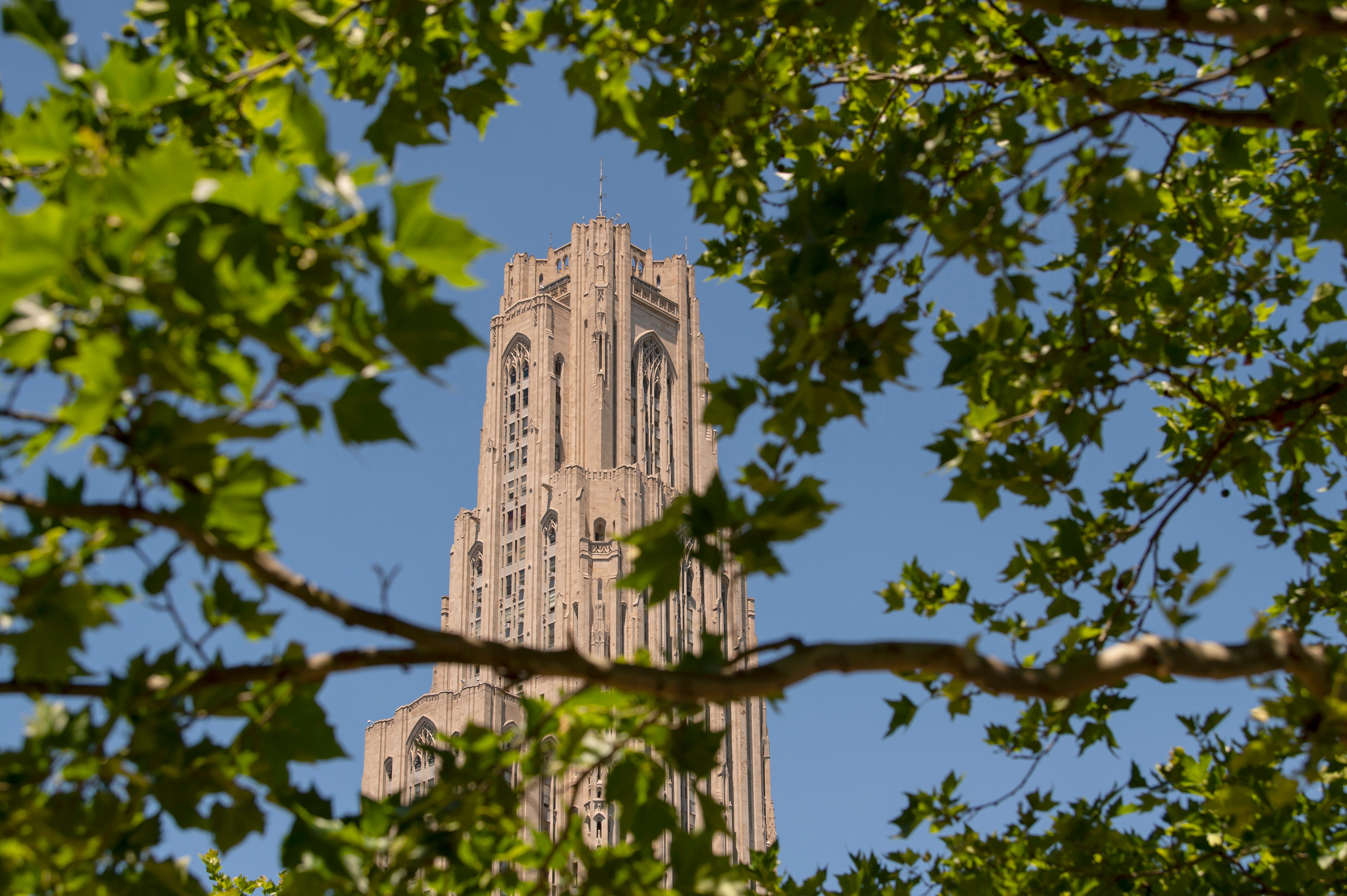 Resources for New Faculty | Kenneth P. Dietrich School of Arts ...